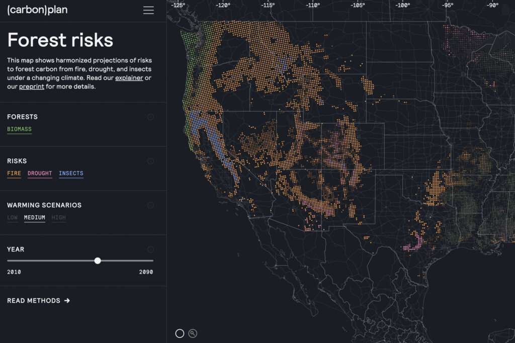 Interactive Forest Maps | College of Science