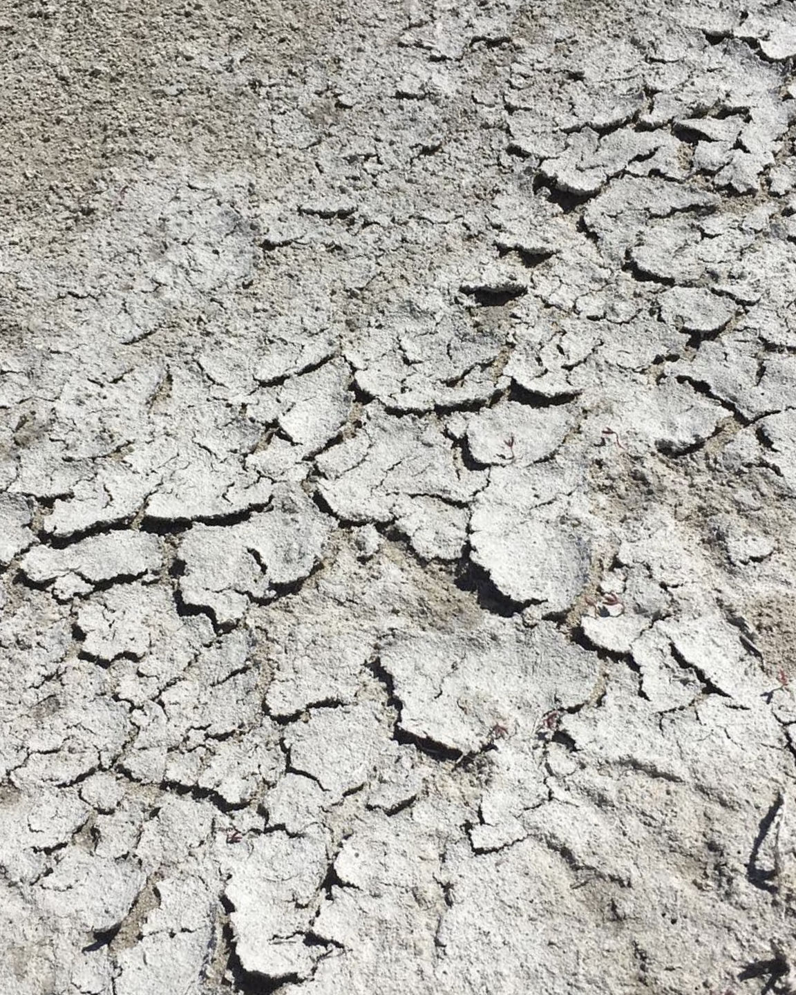 Toxic Dust Hot Spots | College of Science