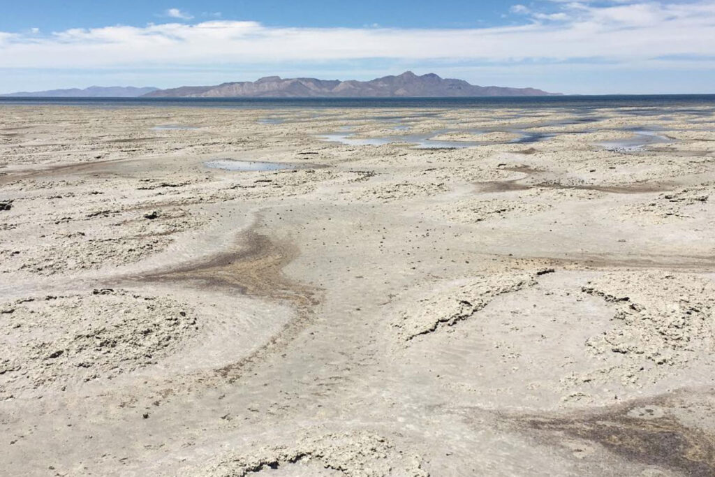 Toxic Dust Hot Spots | College of Science