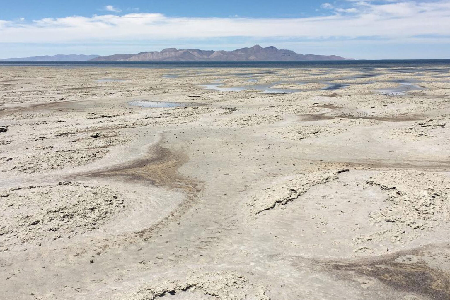 Toxic Dust Hot Spots | College of Science
