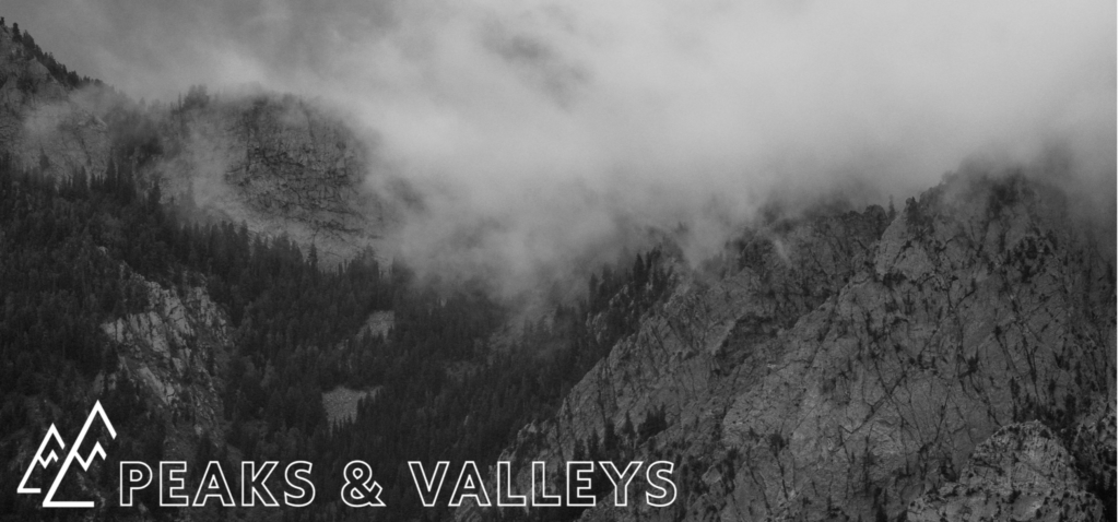 Internship Experiences: Daisia Sanders – U Career Success